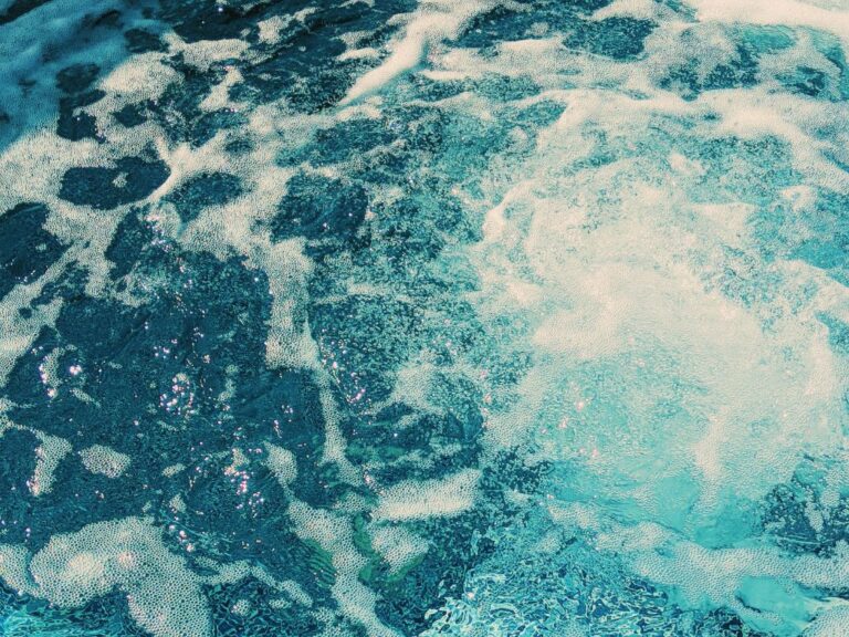 Our Ultimate Michael Phelps Force Deep Swim Spa Review | Swim Spa / Hot ...